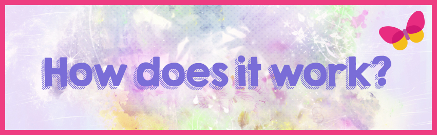 How does it work - The New You Plan