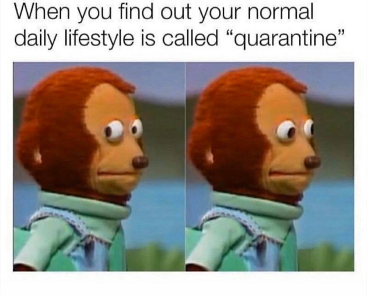 23 Funny Memes that Made Me LOL This Week - The New You Plan