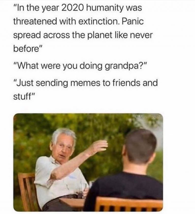 23 Funny Memes that Made Me LOL This Week - The New You Plan