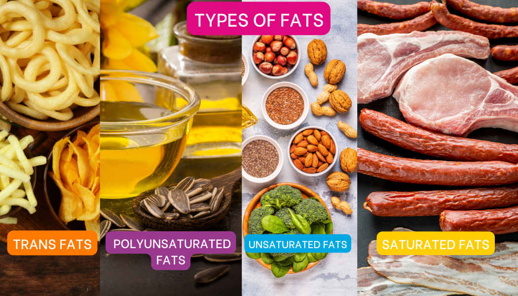 FATS - The New You Plan