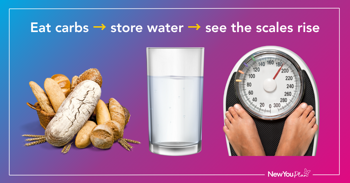 The Mathematics of Weight Loss: Why the Scales Don’t Tell the Full ...