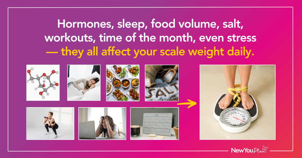 The Mathematics of Weight Loss: Why the Scales Don’t Tell the Full ...